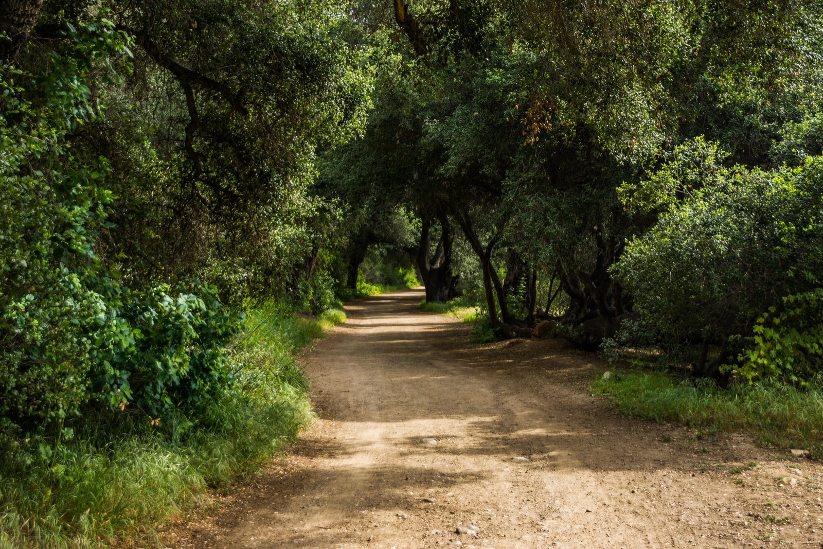 Further Still – A Poem by Beth Moore – Life Reconstructed