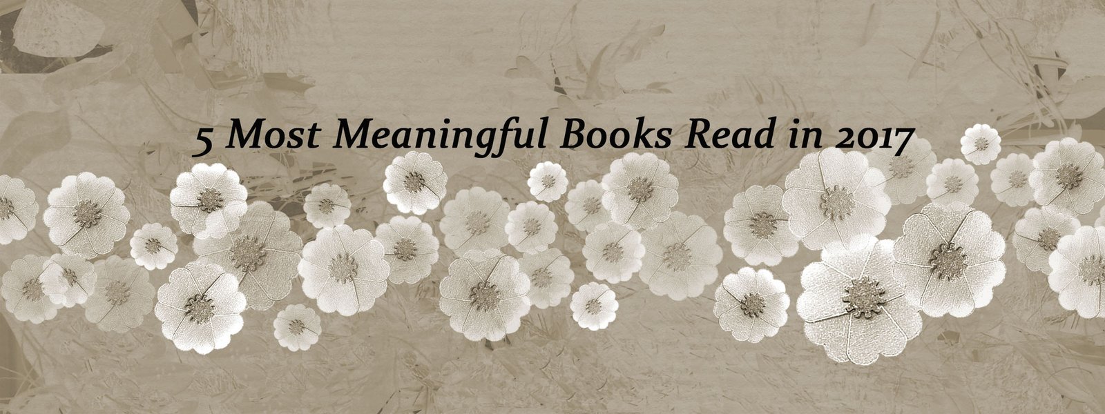 The 5 Most Meaningful Books I read in 2017